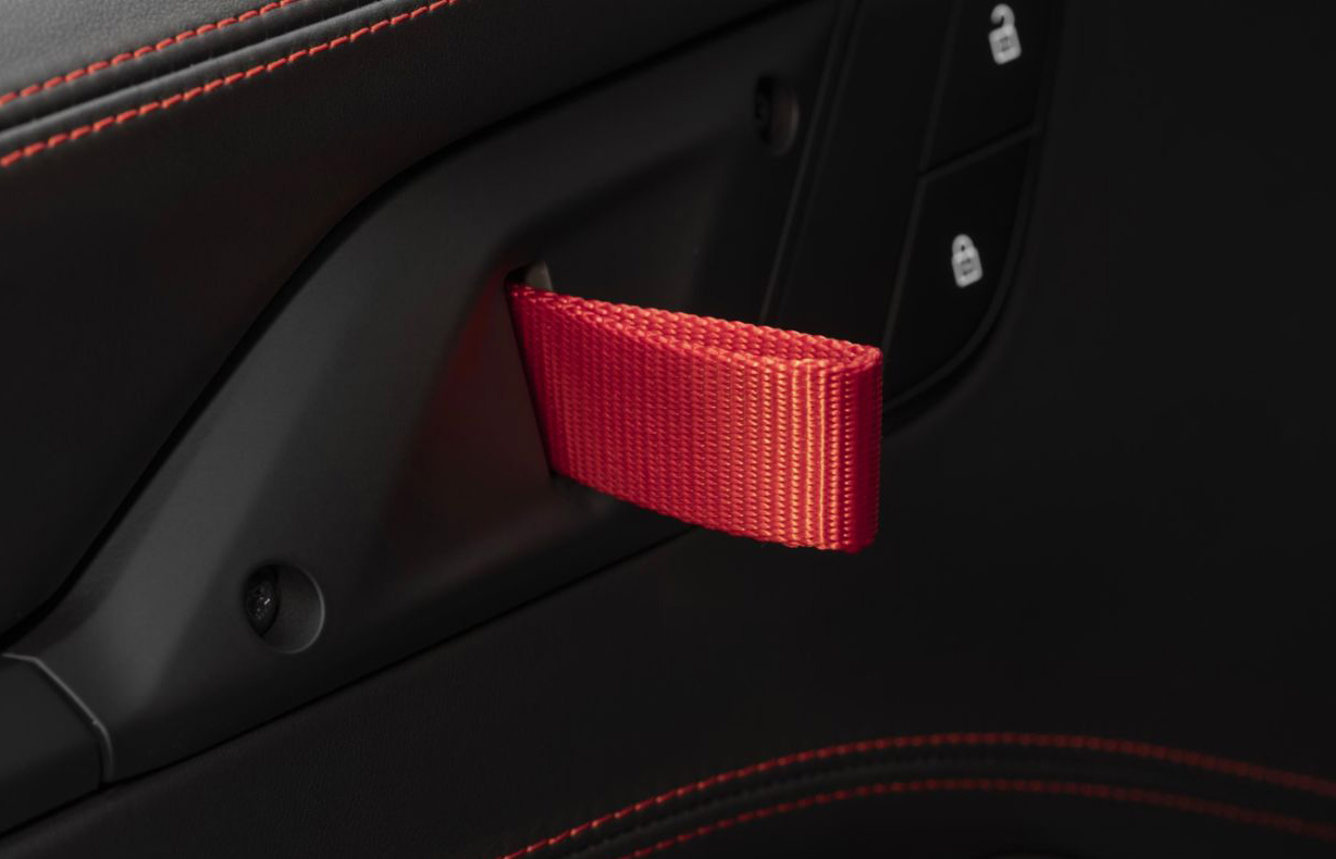 Interior door pull straps store